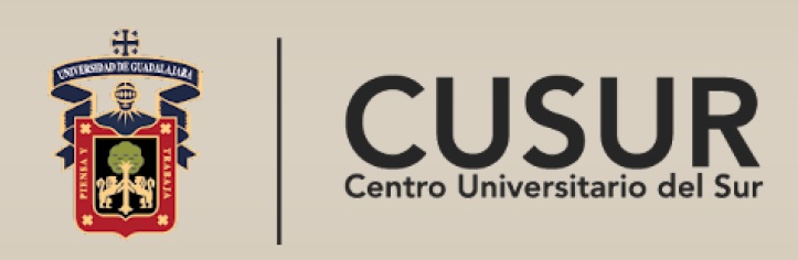 MÉXICO : ANÁLISIS DE UNA EXPERIENCIA DE ENTORNOS VIRTUALES DE ...